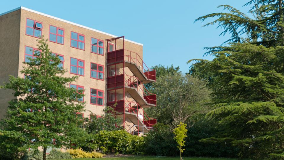 Battersea and Surrey Courts | MySurrey student website | University of ...