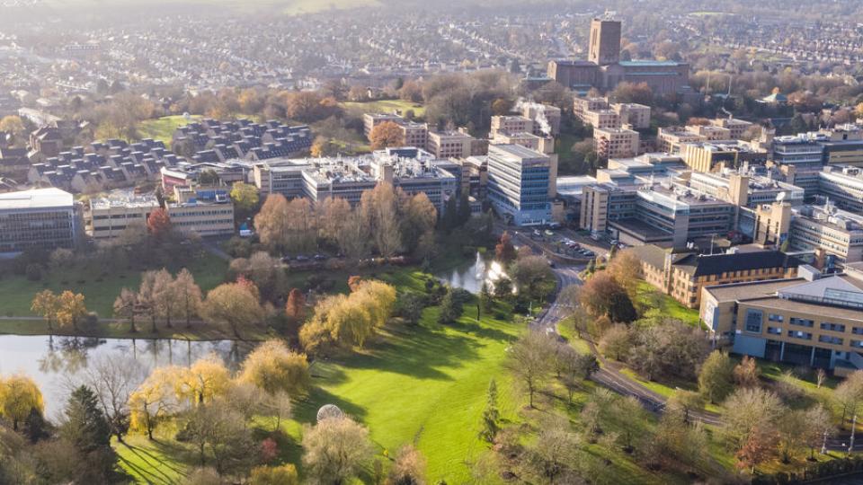 Find out how your feedback sparks positive change at Surrey | MySurrey ...